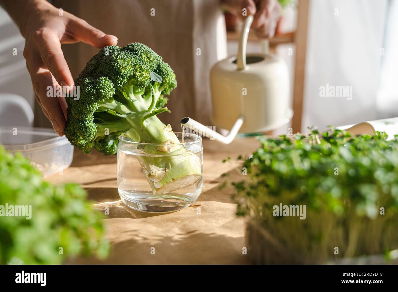 Holding small glass water hi-res stock photography and images - Alamy