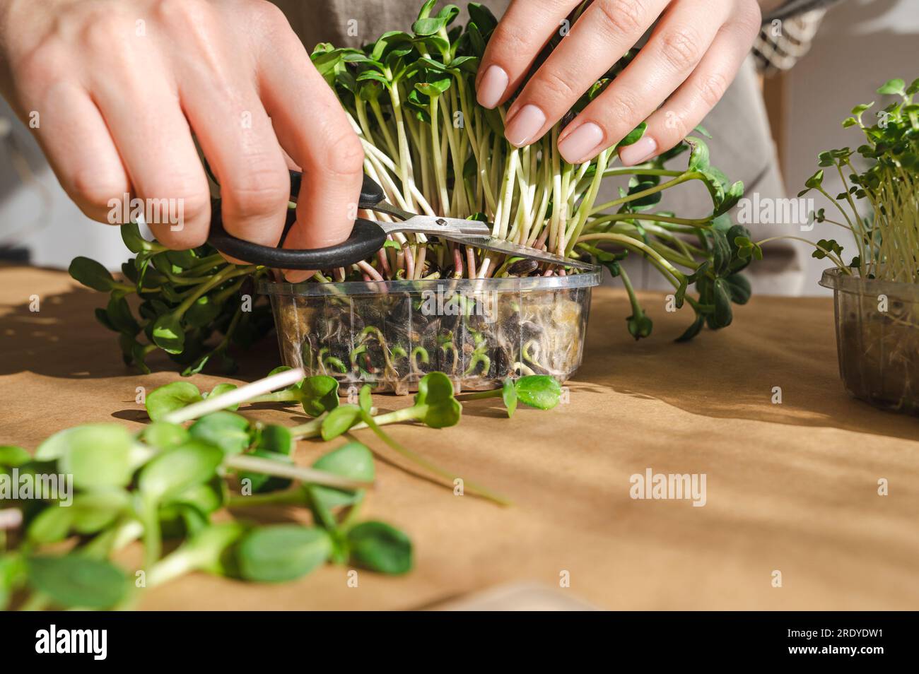 Cutting with scissors hi-res stock photography and images - Alamy