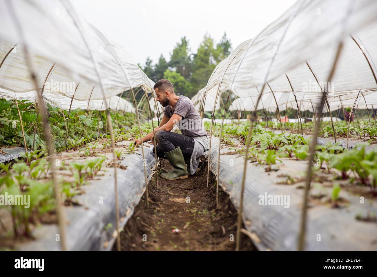 Farmer wearing rubber boots hi-res stock photography and images - Alamy