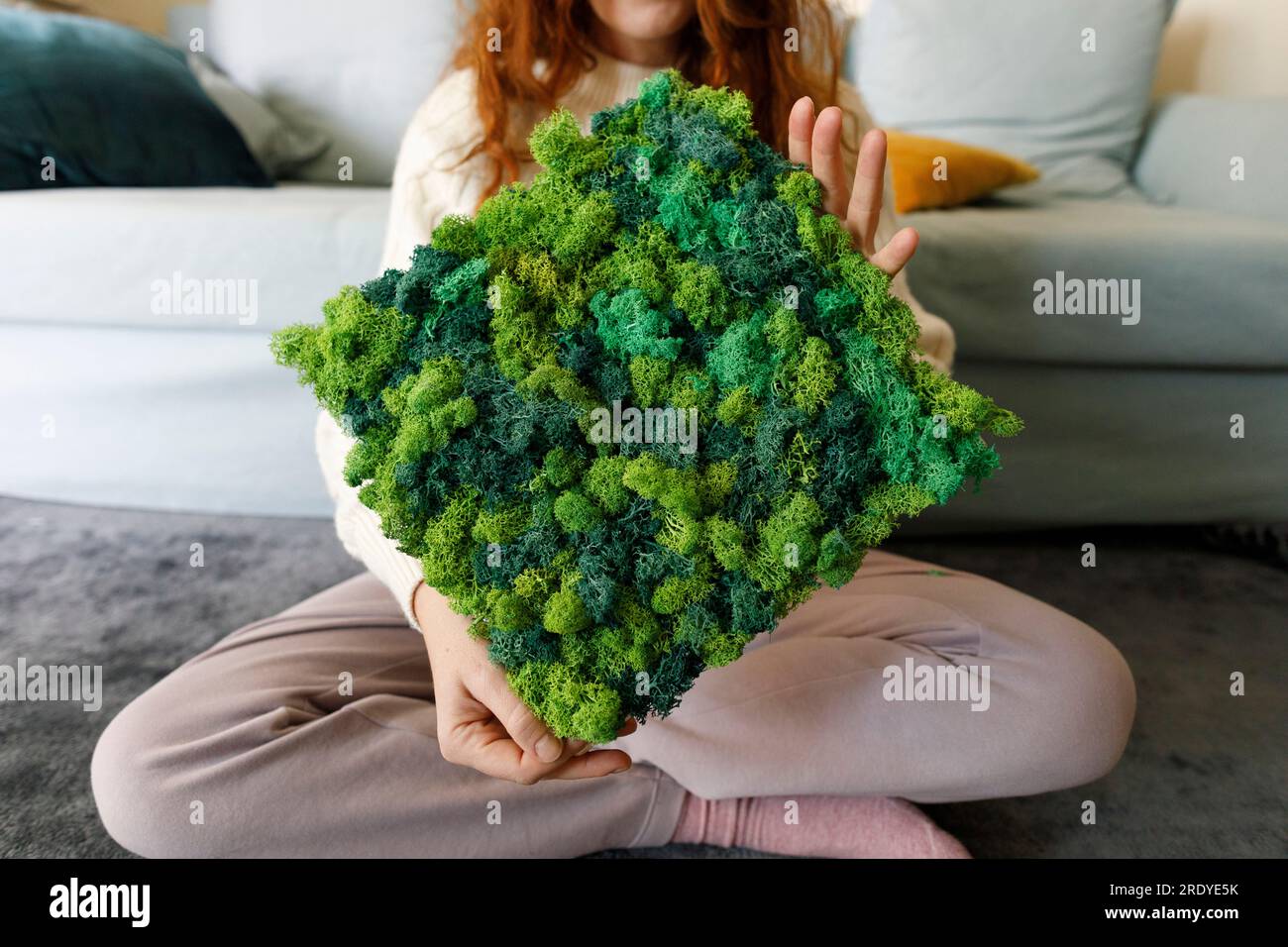 Moss cross section hi-res stock photography and images - Alamy
