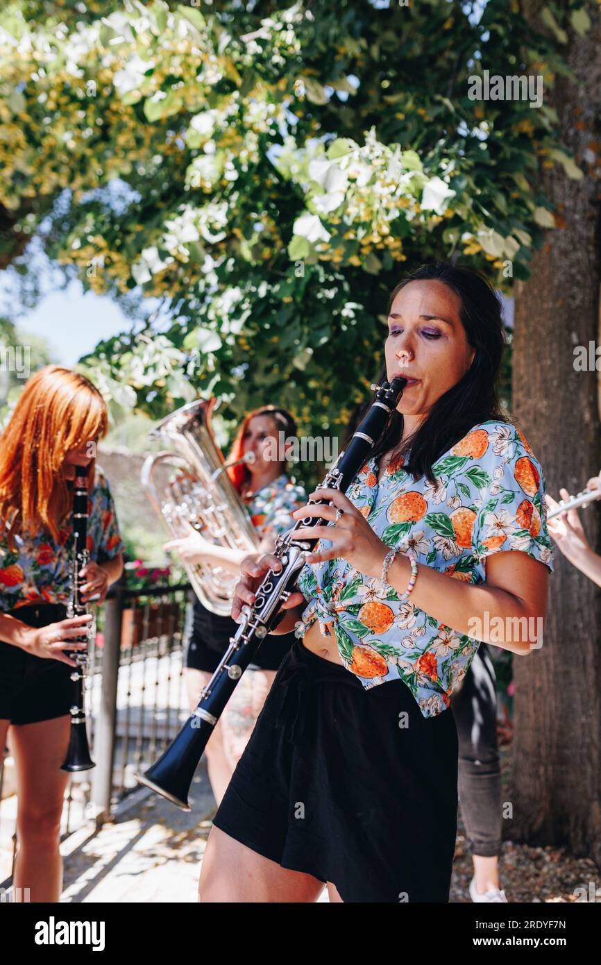 Passionate woman practicing clarinet with group Stock Photo - Alamy