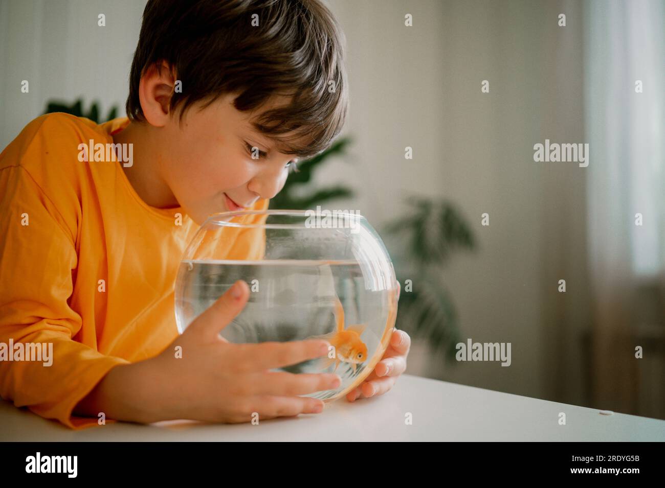 Boy looking at goldfish hi-res stock photography and images - Alamy