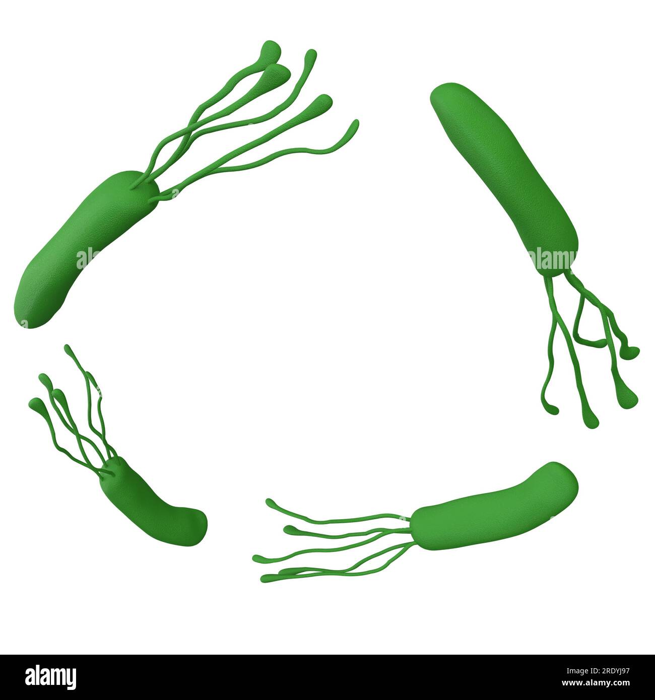 Helicobacter pylori bacteria 3d render realistic frame with place for ...
