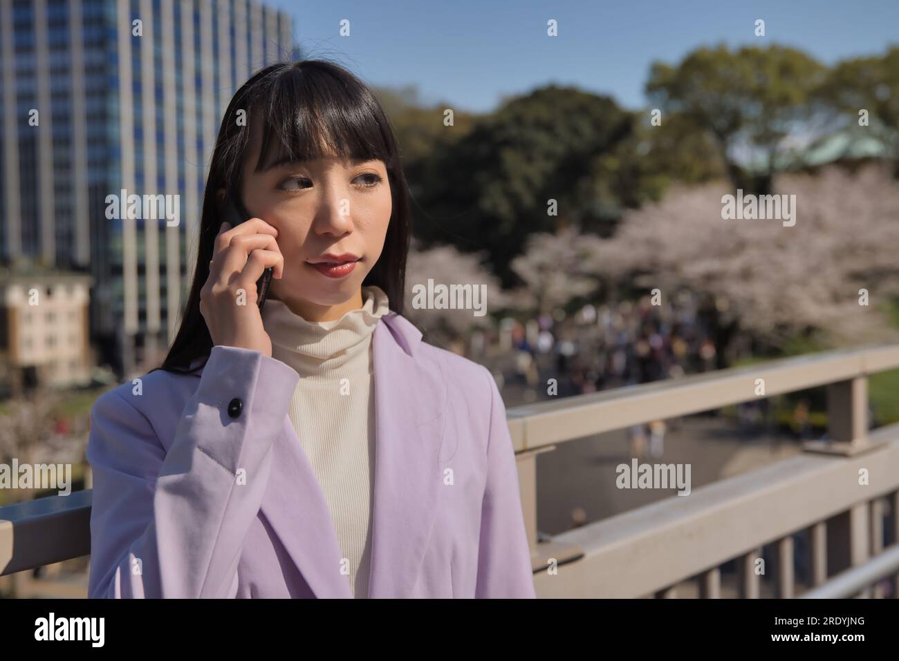 A portrait of Japanese woman calling a smartphone behind cherry blossom ...