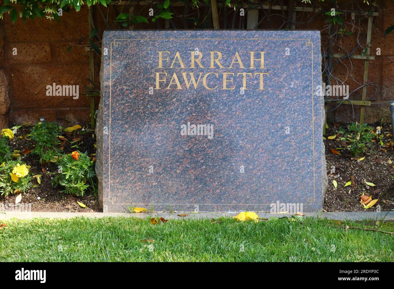 Farrah leni fawcett hi-res stock photography and images - Alamy