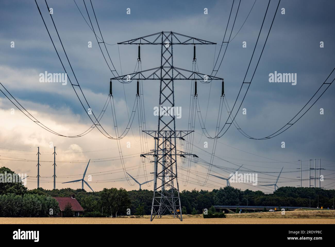 RILLAND - High-voltage pylons in the Zeeland landscape. Large companies ...