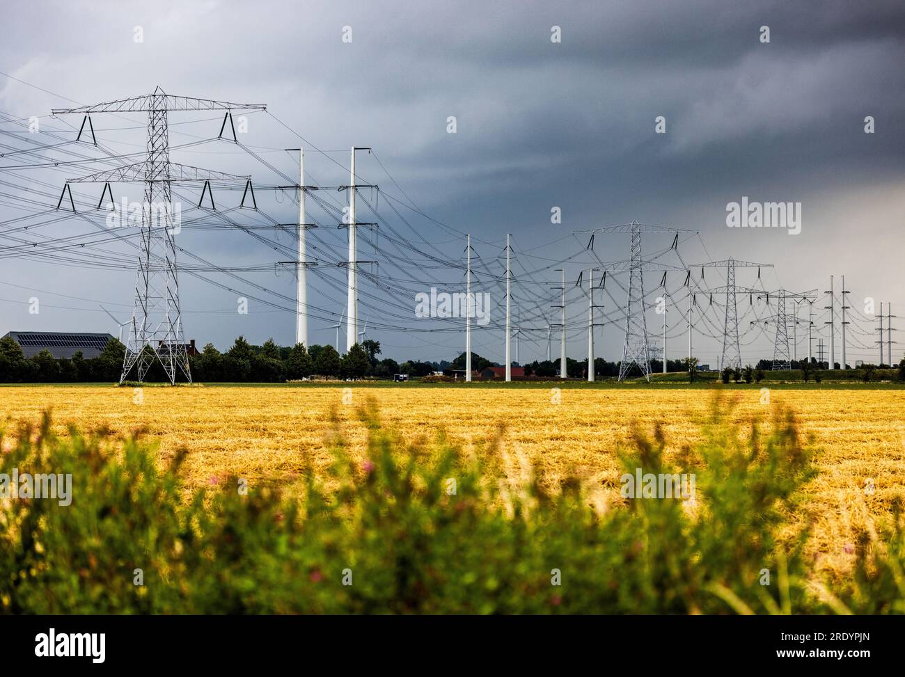 RILLAND - High-voltage pylons in the Zeeland landscape. Large companies ...