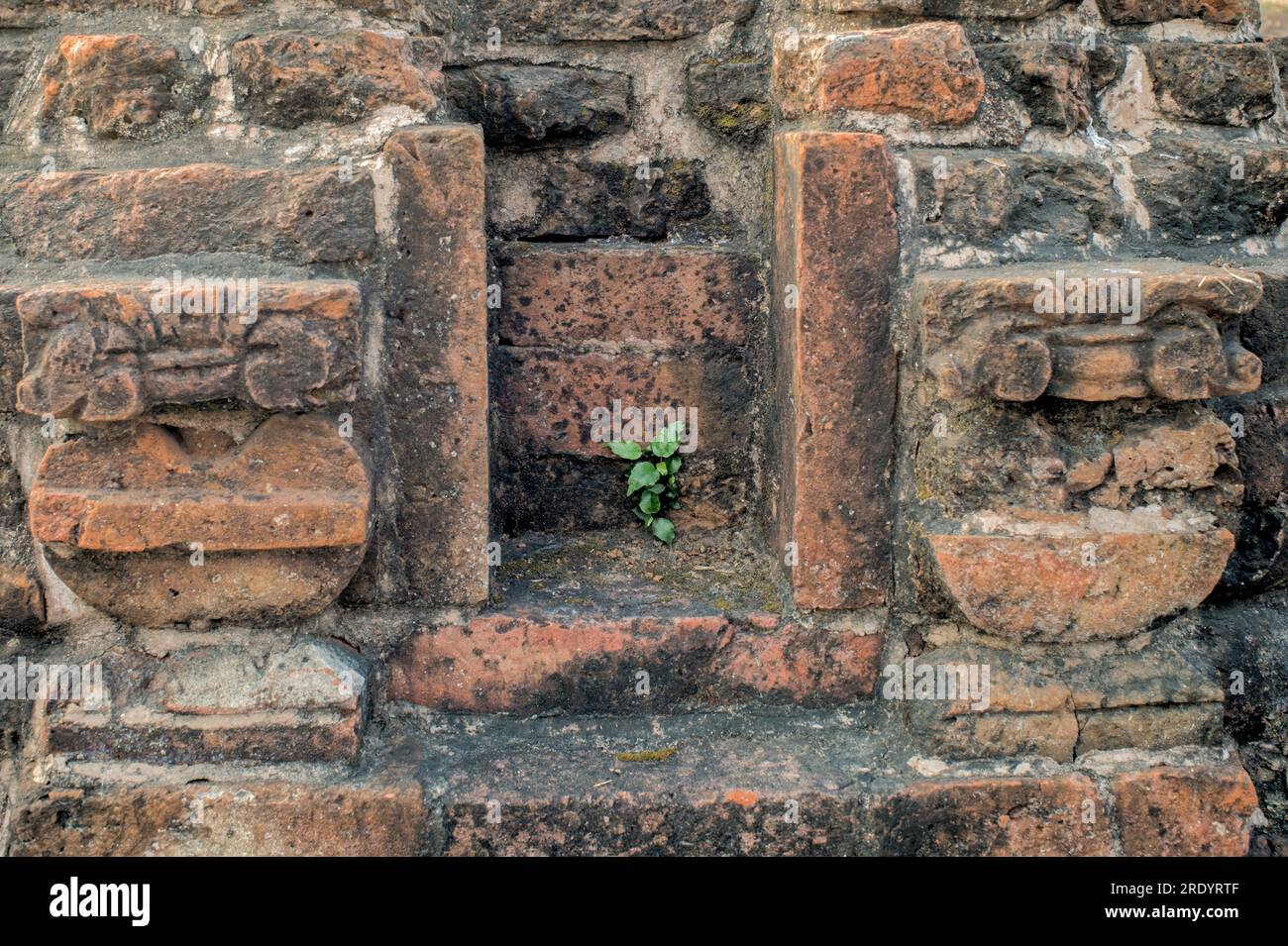 12 23 2014 Vintage ruins of Nalanda Mahavihara Mahavihara, 5th-century ...