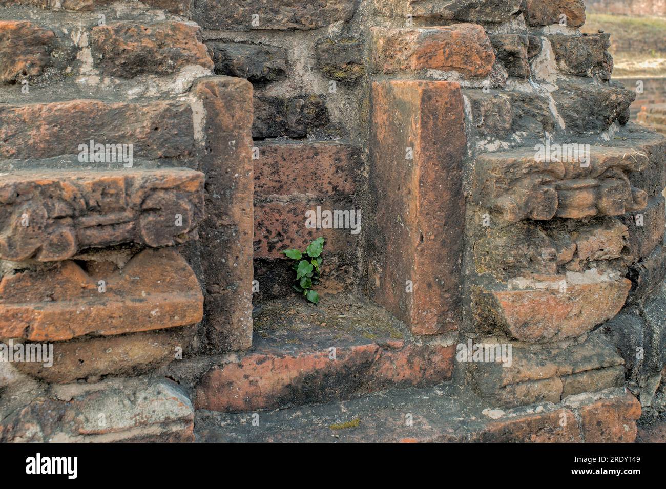 12 23 2014 Vintage ruins of Nalanda Mahavihara Mahavihara, 5th-century ...