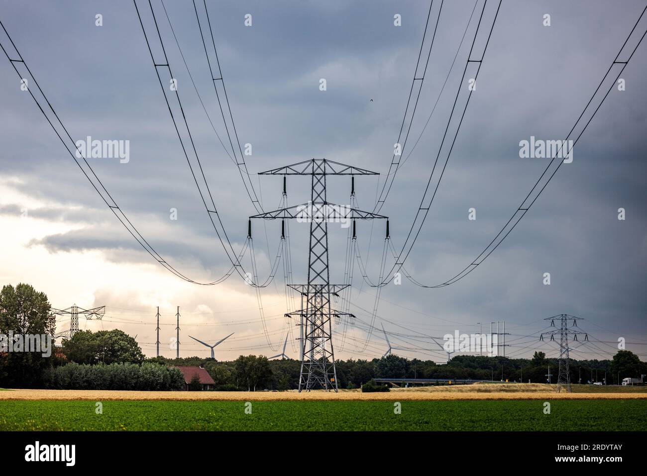 RILLAND - High-voltage pylons in the Zeeland landscape. Large companies ...