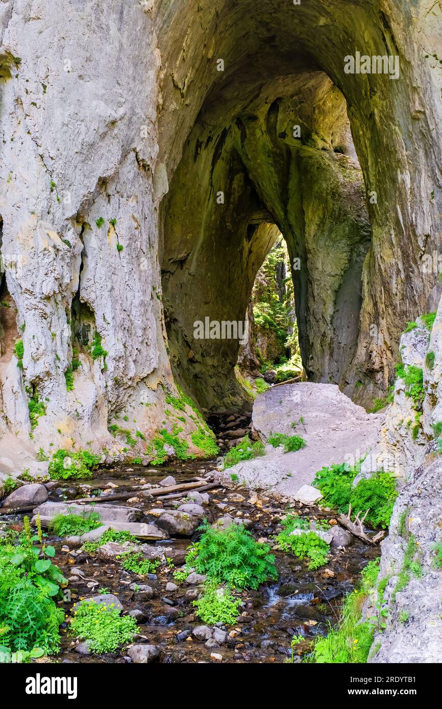 The Wonderful Bridges in Bulgaria, Rhodope Mountains, natural ...