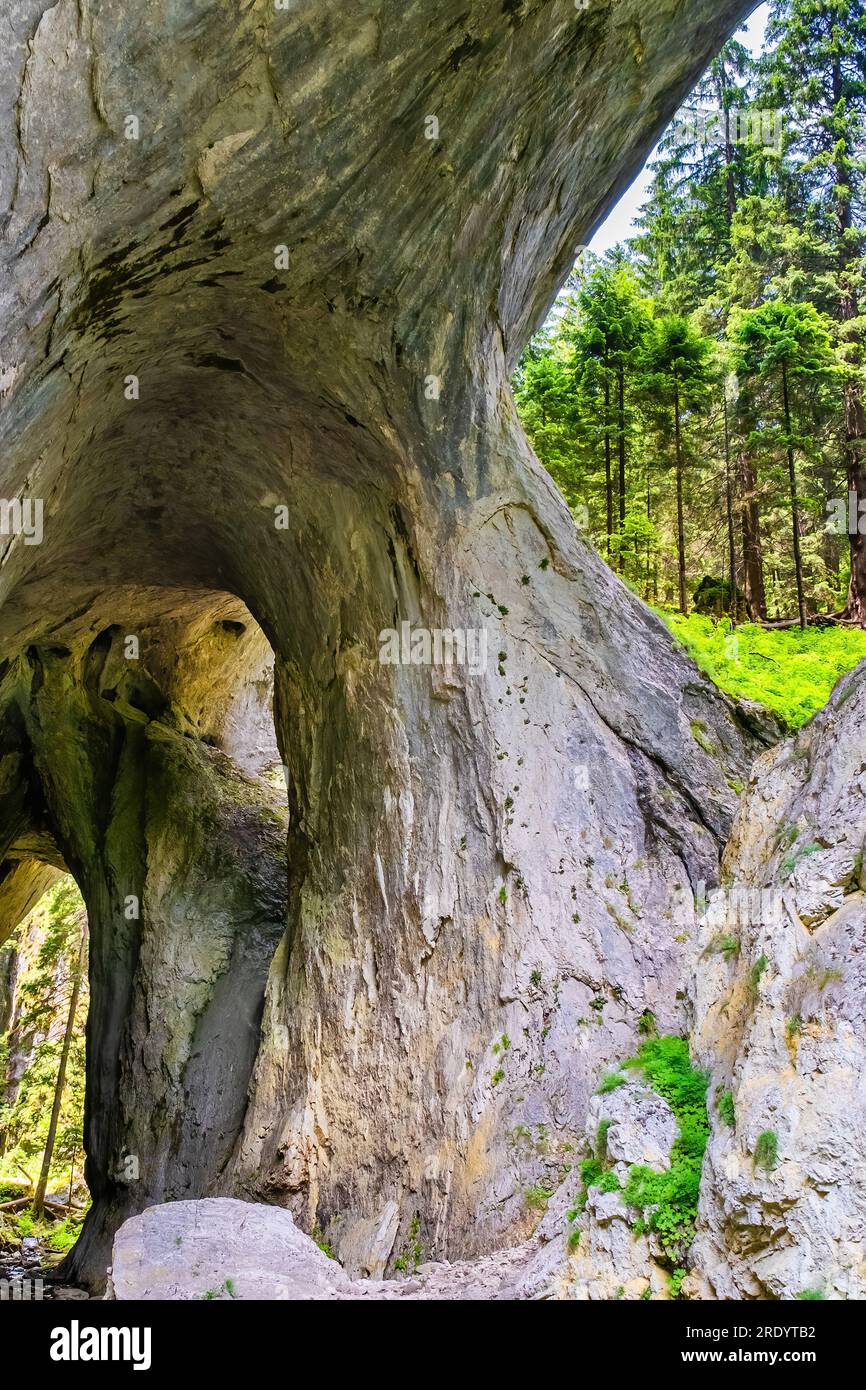 The Wonderful Bridges in Bulgaria, Rhodope Mountains, natural ...