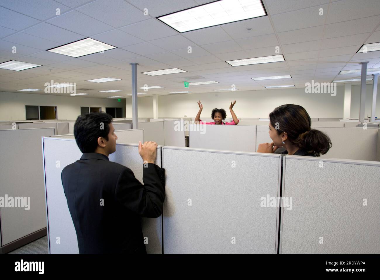 office workers talk over cubicle walls Stock Photo - Alamy
