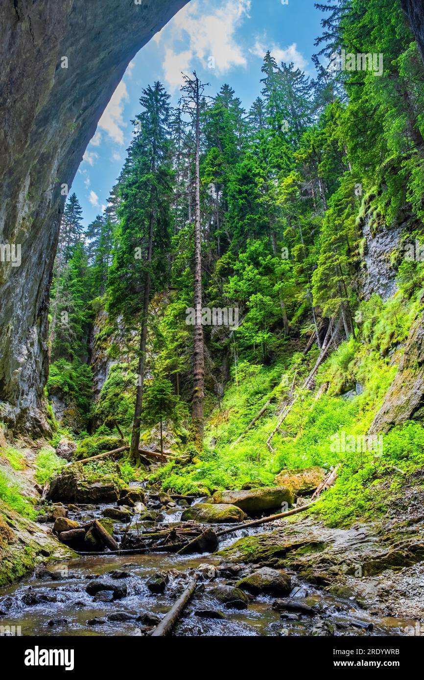 The Wonderful Bridges in Bulgaria, Rhodope Mountains, natural ...