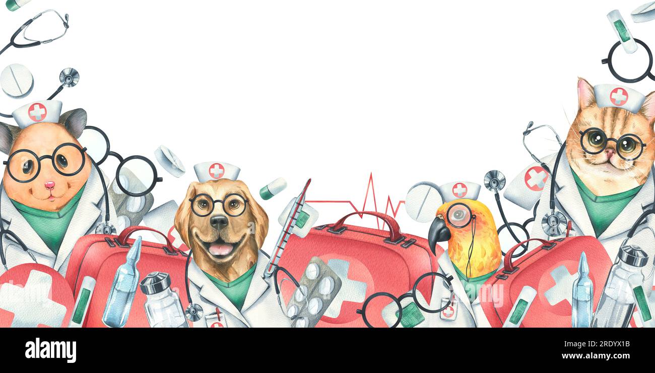 Dog, cat, hamster, parrot doctors in a dressing gown, glasses, with a ...