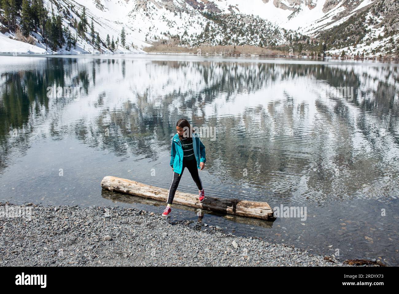 Girl steps off a large log floating in a partially frozen lake Stock ...