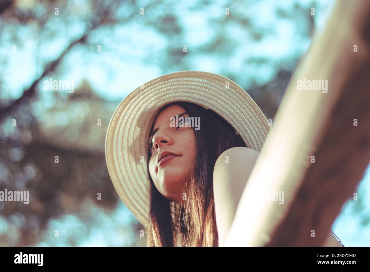 A girl in a relaxing way in a forest during a sunny spring day Stock ...