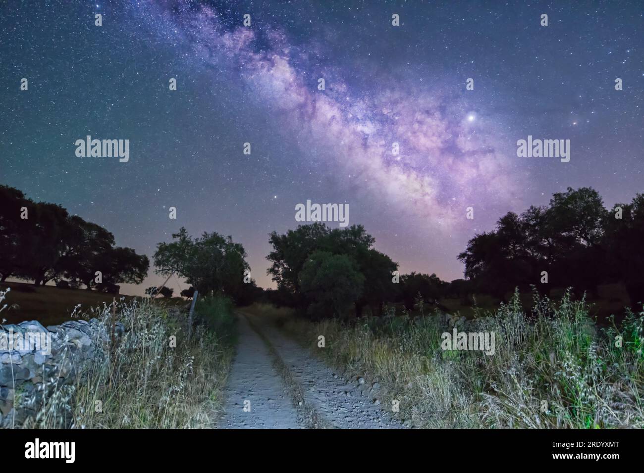Milky way countryside hi-res stock photography and images - Alamy