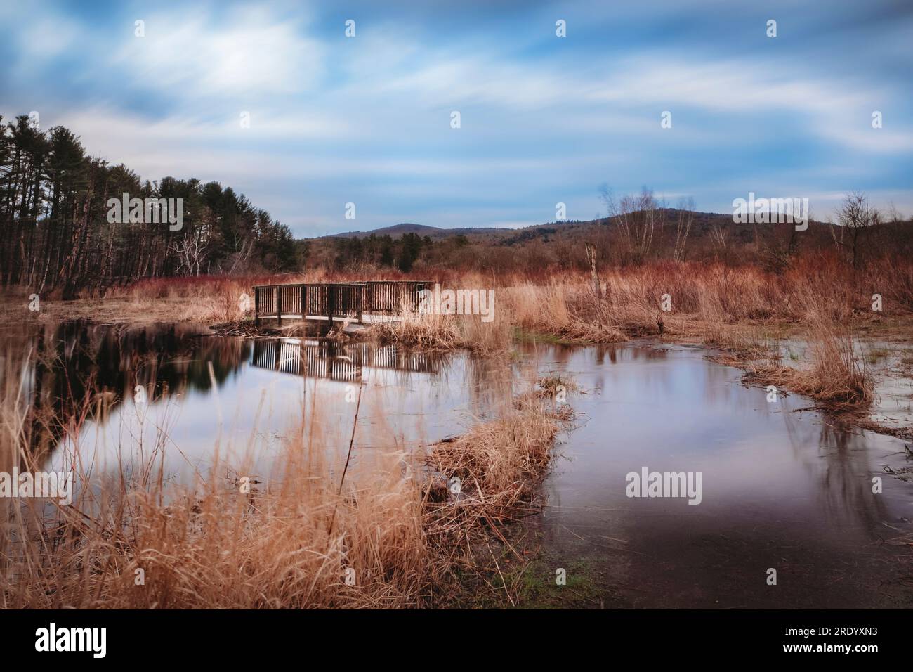 flooded pond with bridge in wooded area in rural Massachusetts Stock ...