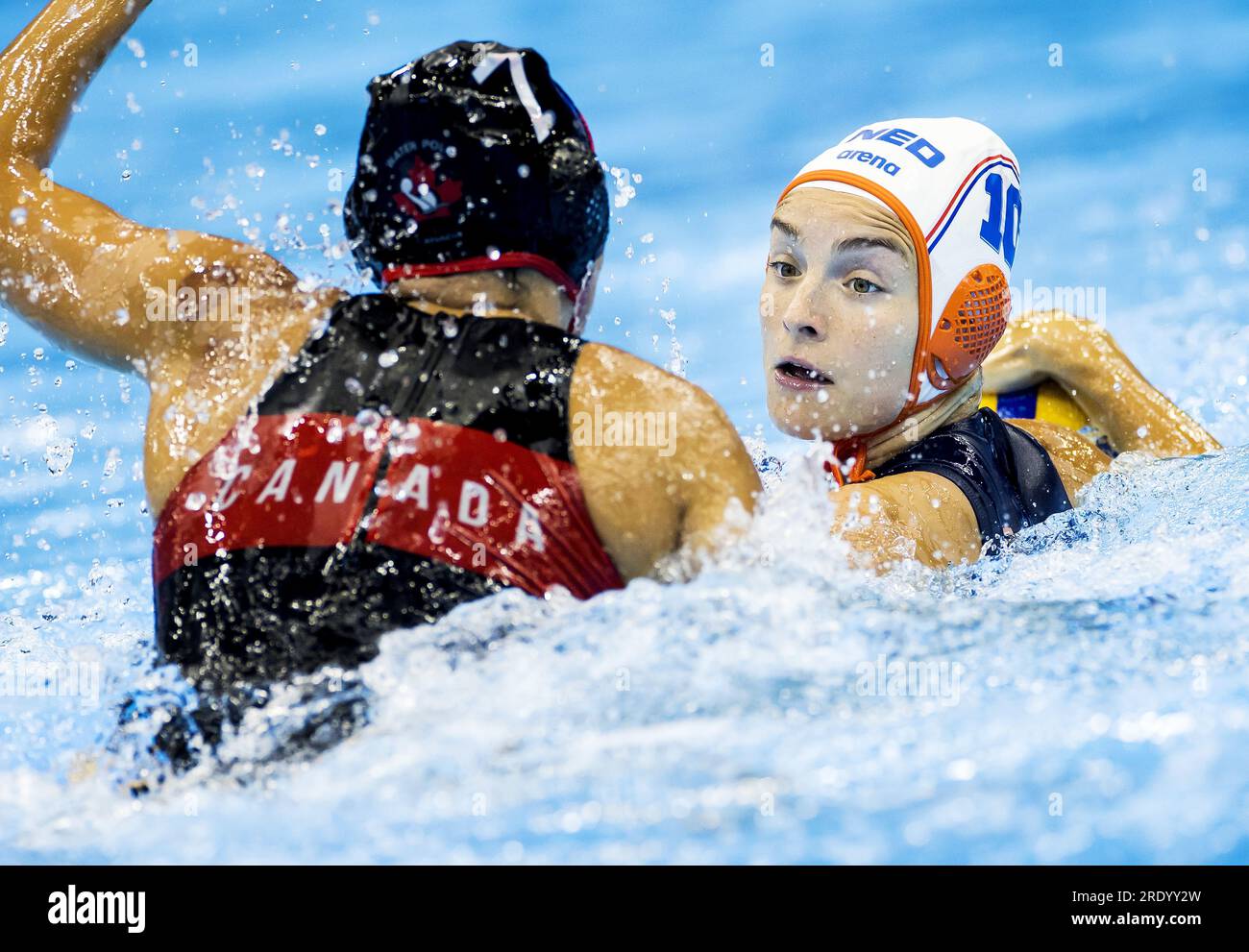 Verica bakoc hi-res stock photography and images - Alamy