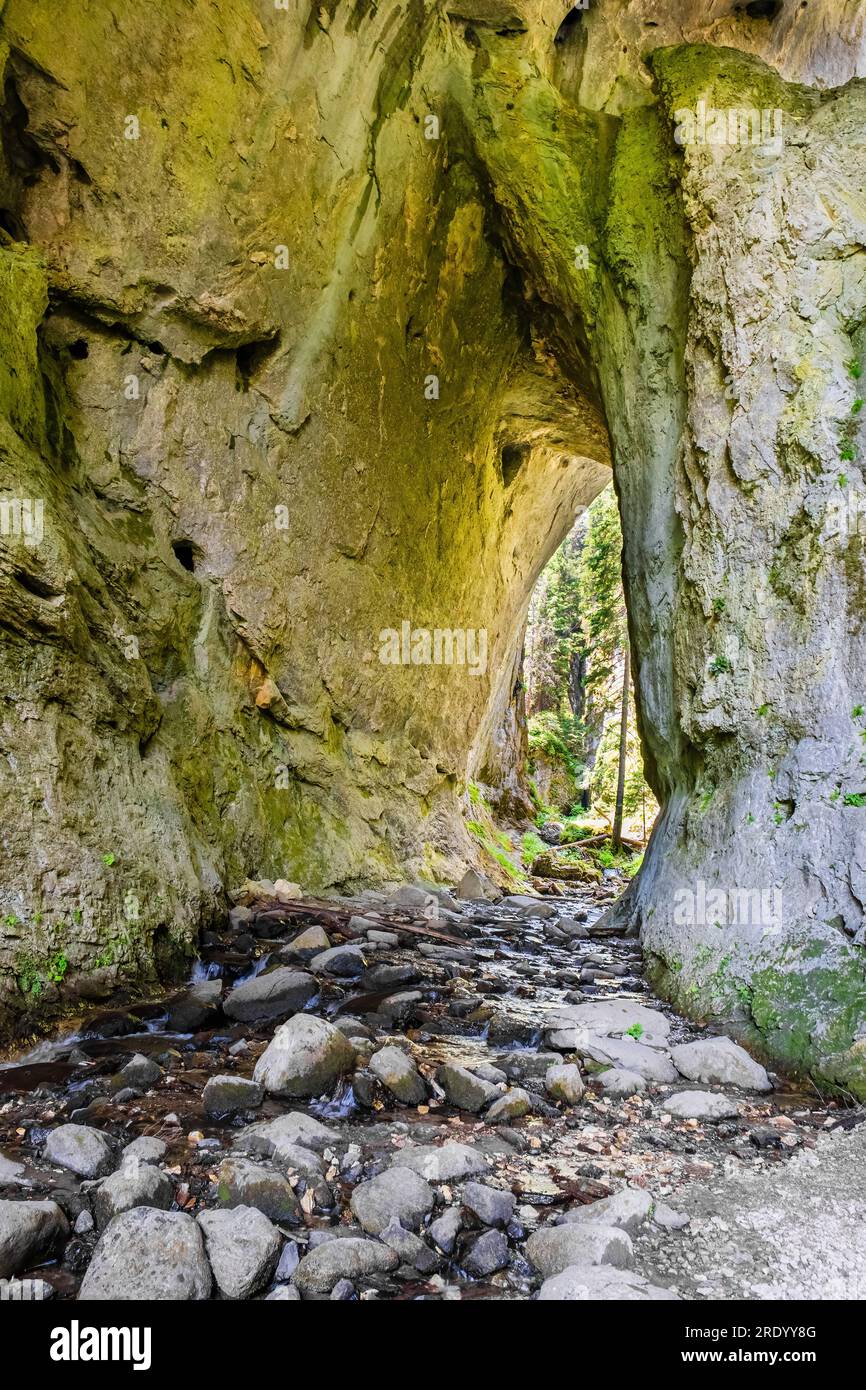The Wonderful Bridges in Bulgaria, Rhodope Mountains, natural ...
