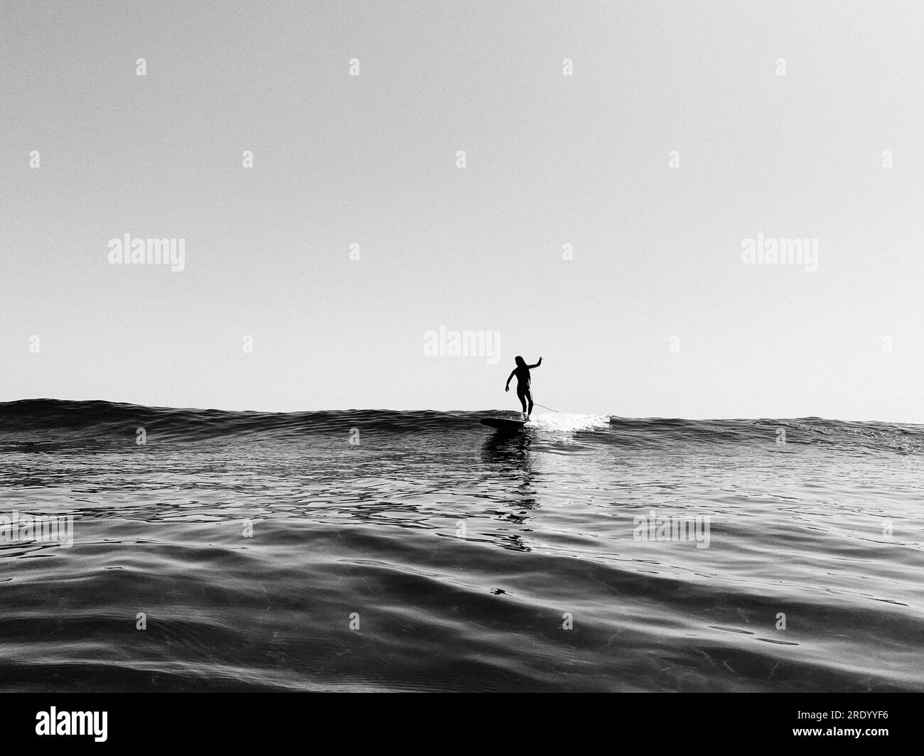 Pulled back view of a female surfer riding small wave, black and white ...