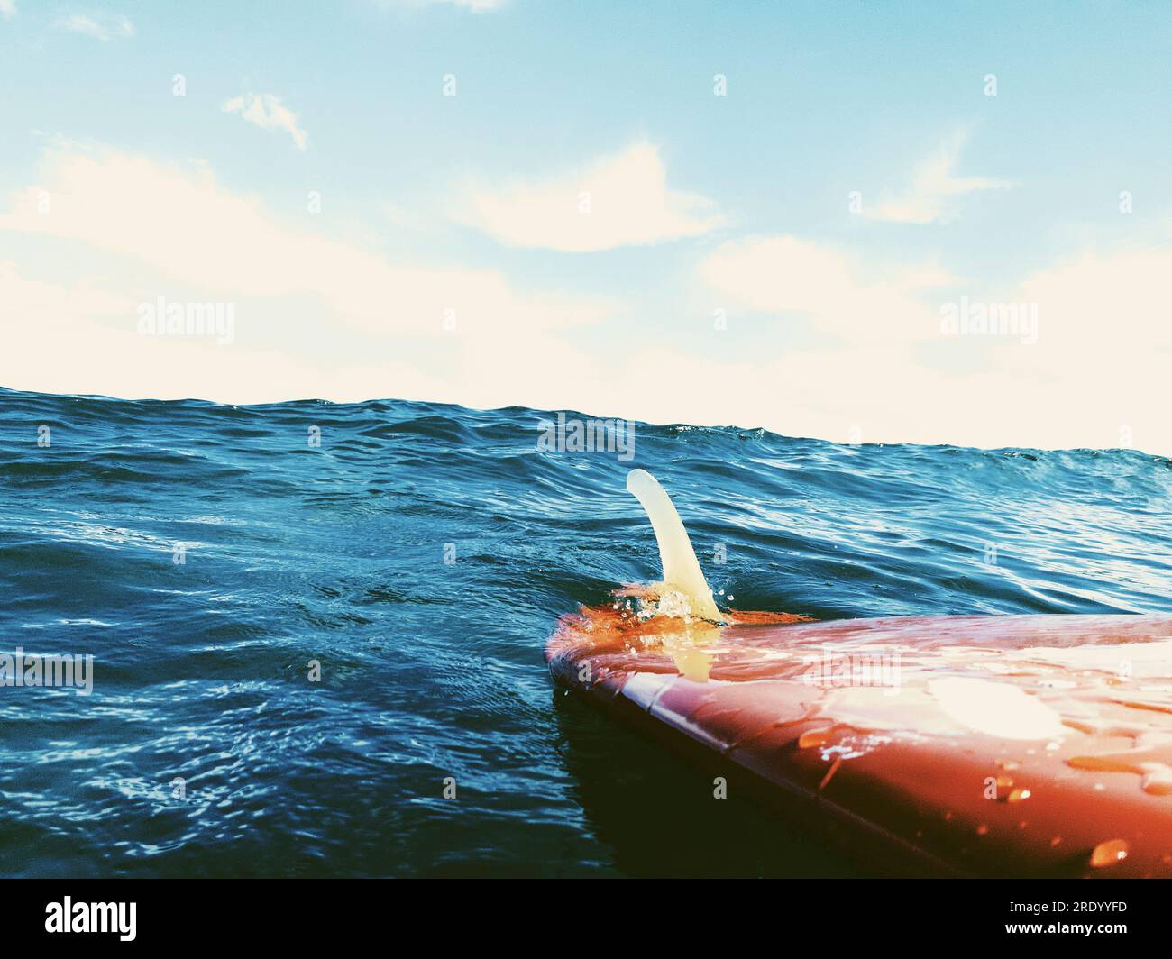Close up of surfboard and fin on water surface Stock Photo - Alamy