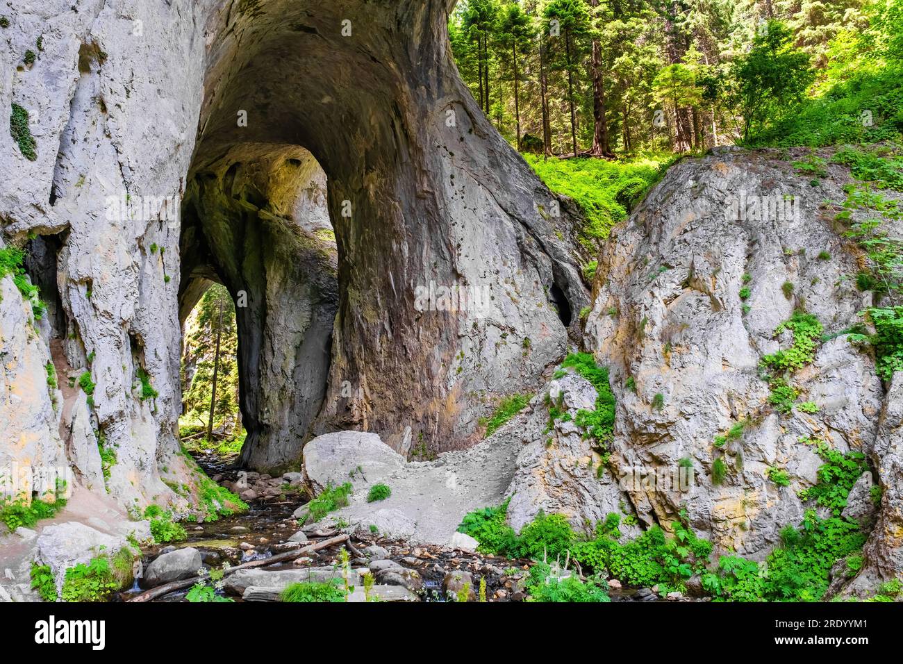 The Wonderful Bridges in Bulgaria, Rhodope Mountains, natural ...