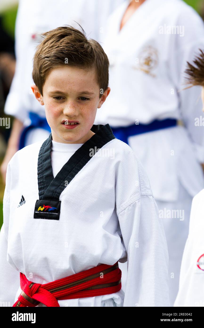 Tae Kwon Do Stock Photo - Alamy
