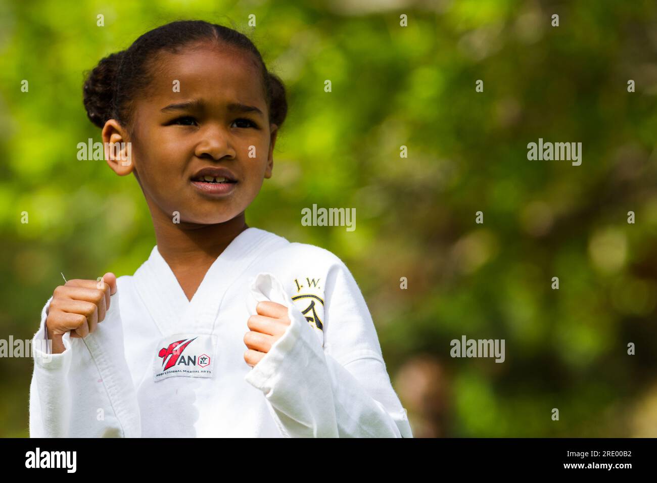 Tae Kwon Do Stock Photo - Alamy