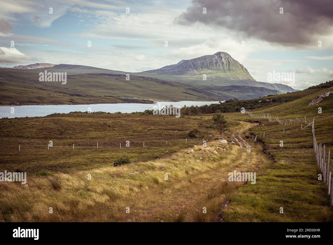 Sun shines through window green hi-res stock photography and images - Alamy