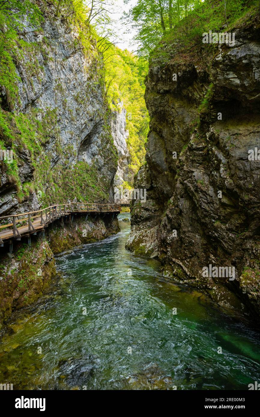 the vintgar gorge in Solvenia, a nature park with waterfalls and green ...