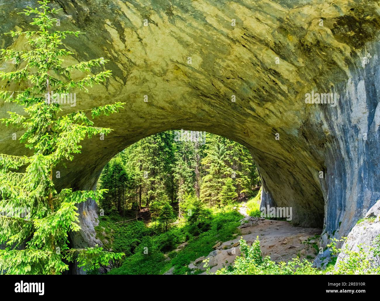 The Wonderful Bridges in Bulgaria, Rhodope Mountains, natural ...