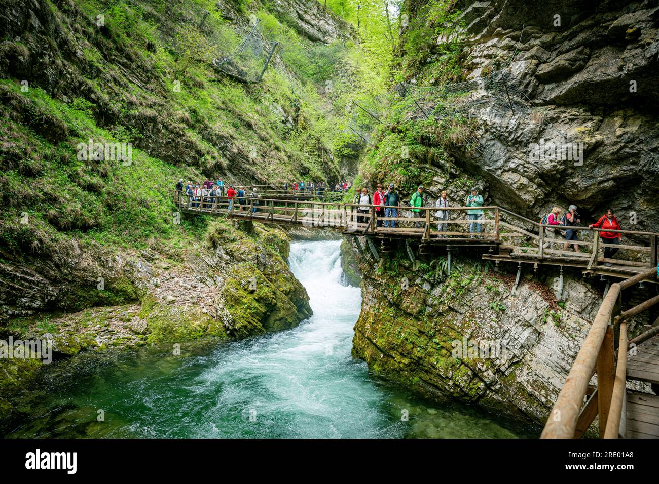 the vintgar gorge in Solvenia, a nature park with waterfalls and green ...