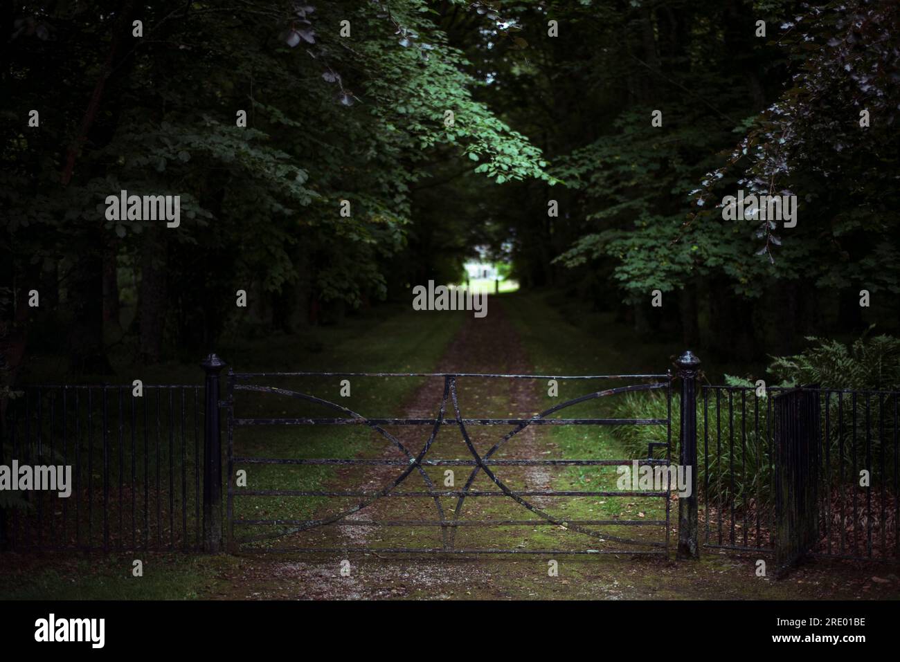 Mysterious old gate leading into Forrest driveway Stock Photo - Alamy
