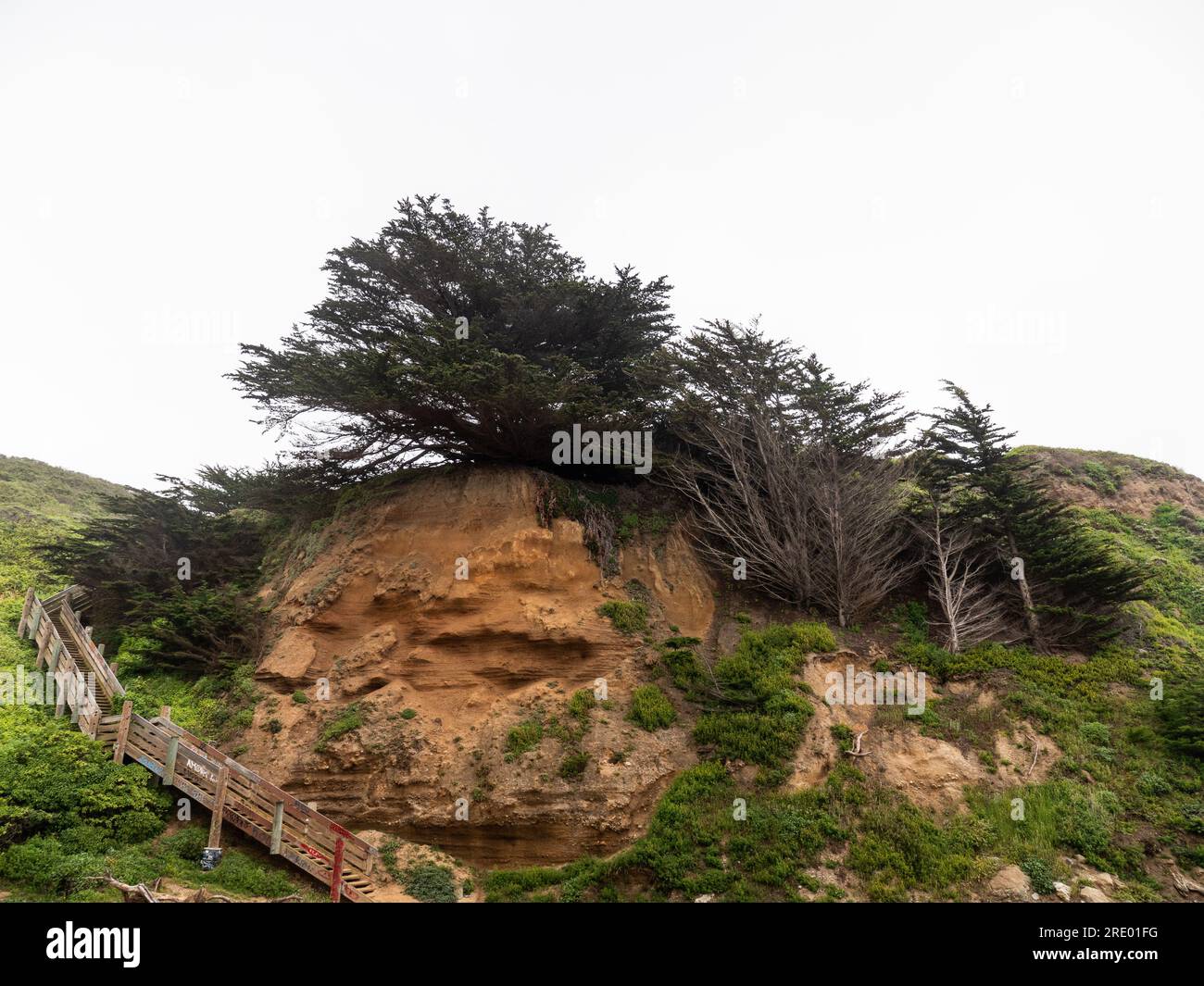 Wooden staircase on coastal cliff Stock Photo - Alamy