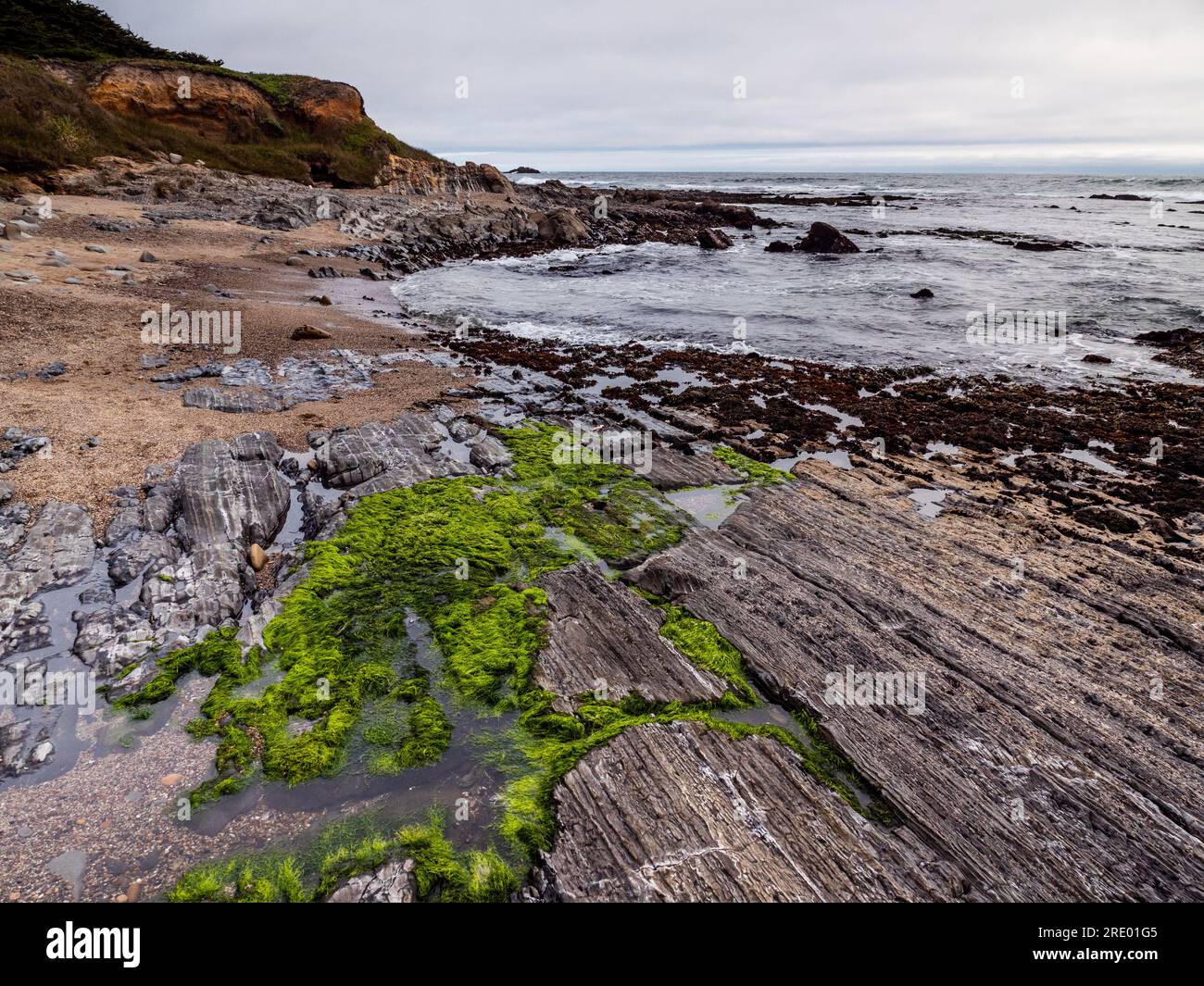 Rocky beach with moss and tide pool Stock Photo - Alamy