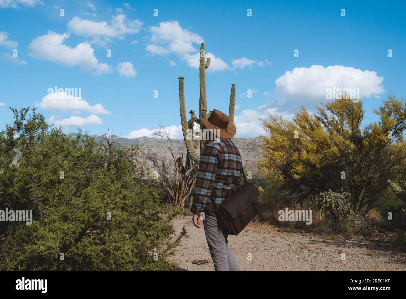 Desert wanderer exploring Saguaro National Park Stock Photo - Alamy