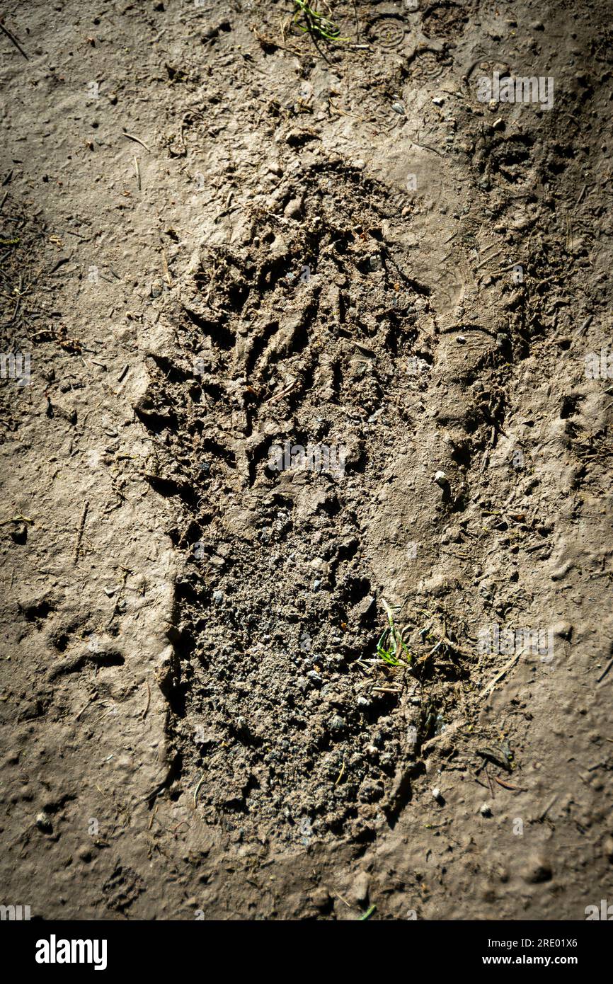 Footstep footprint hi-res stock photography and images - Alamy