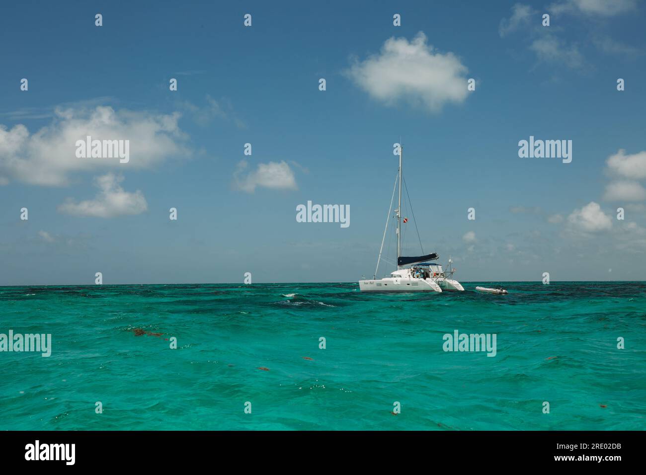 Catamaran Sailing on a sunny day in the Florida Keys Stock Photo - Alamy