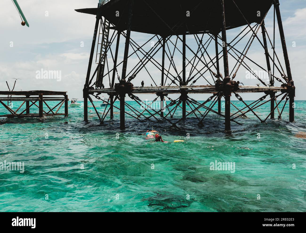 Florida keys snorkeling hi-res stock photography and images - Alamy