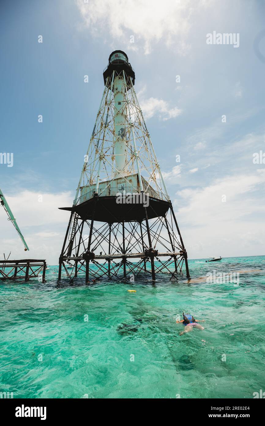Snorkelers Exploring the Reefs of the Florida Keys Stock Photo - Alamy