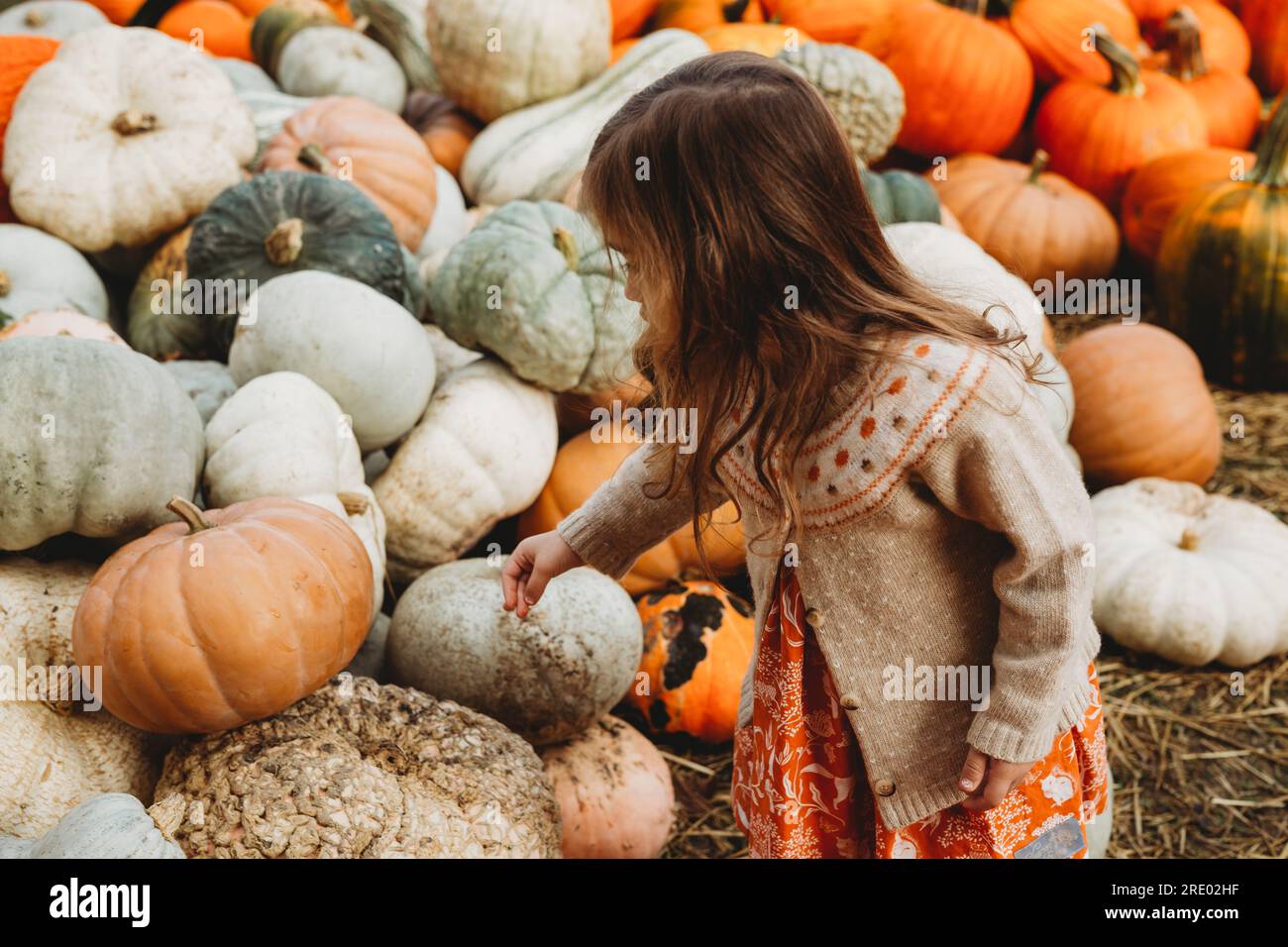 Child with pumpkins hi-res stock photography and images - Alamy