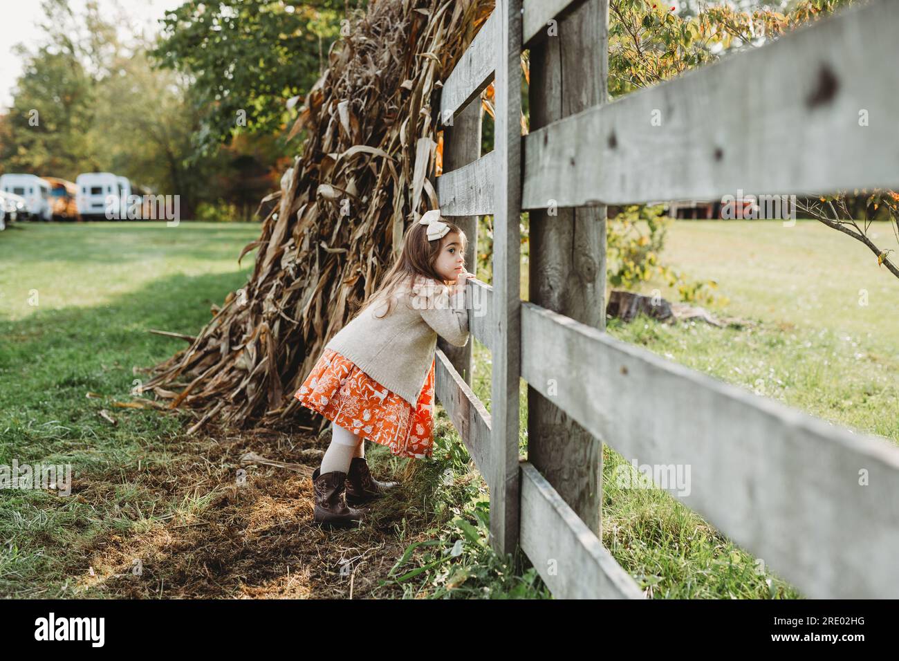 Pumpkin Fall Farm in Ohio Stock Photo - Alamy