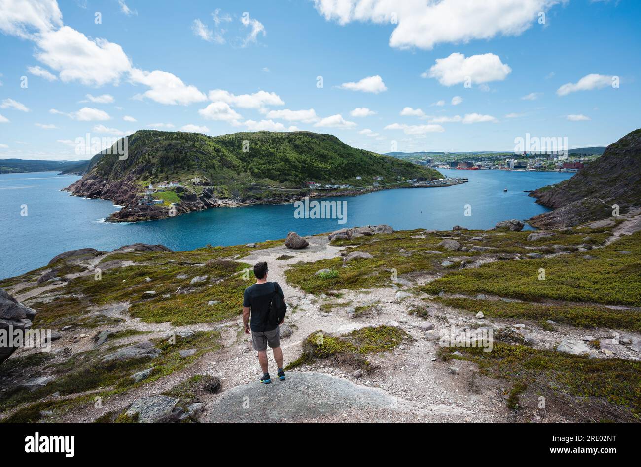 Man standing on trail overlooking harbour of St. John's, Nfld Stock ...
