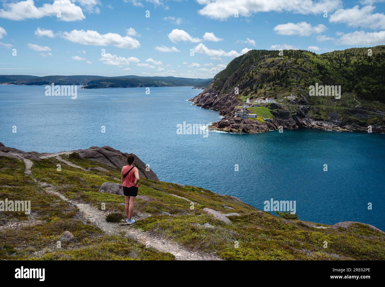 Man standing on trail overlooking harbour of St. John's, Nfld Stock ...