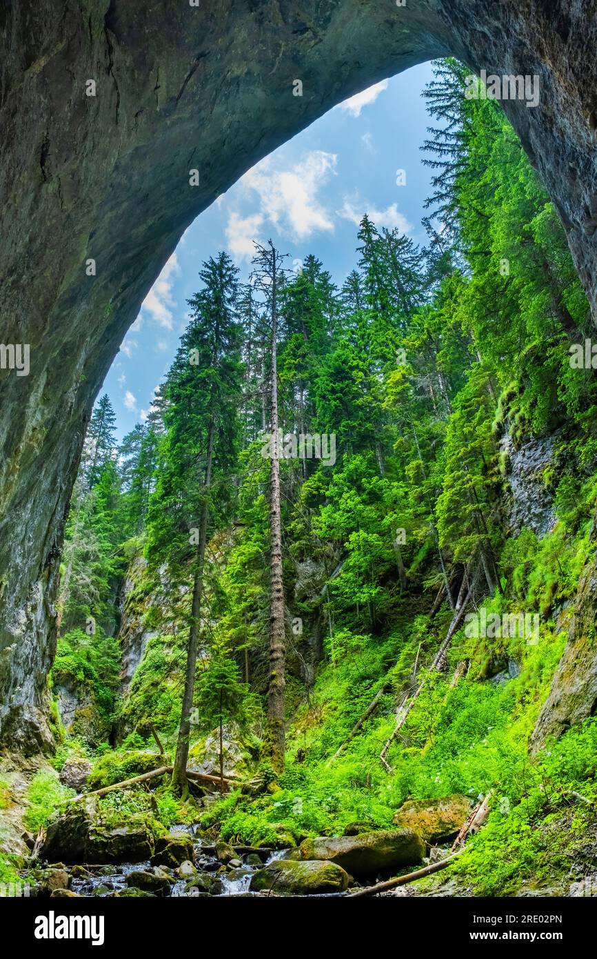 The Wonderful Bridges in Bulgaria, Rhodope Mountains, natural ...