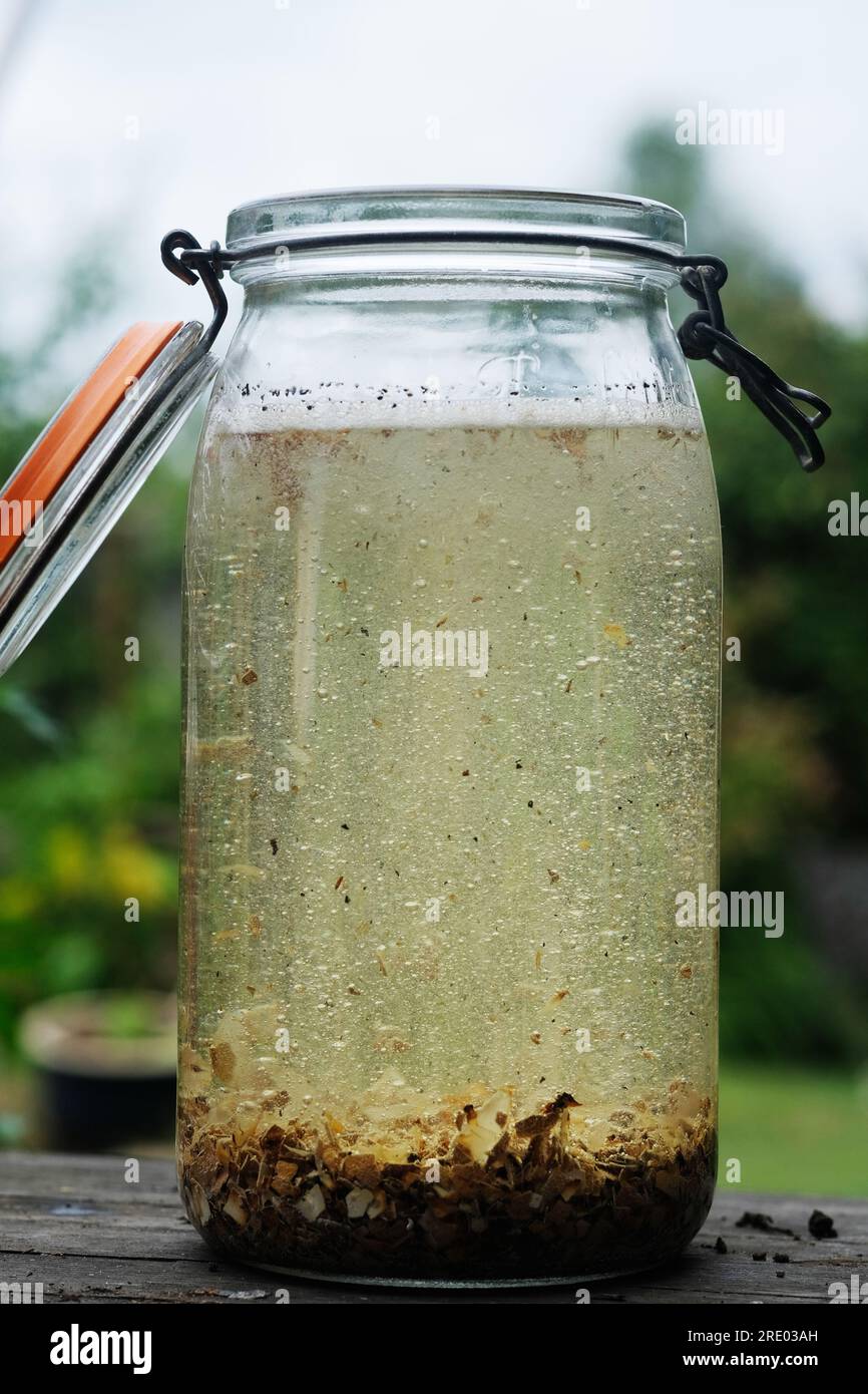 Calcium acetate hi-res stock photography and images - Alamy