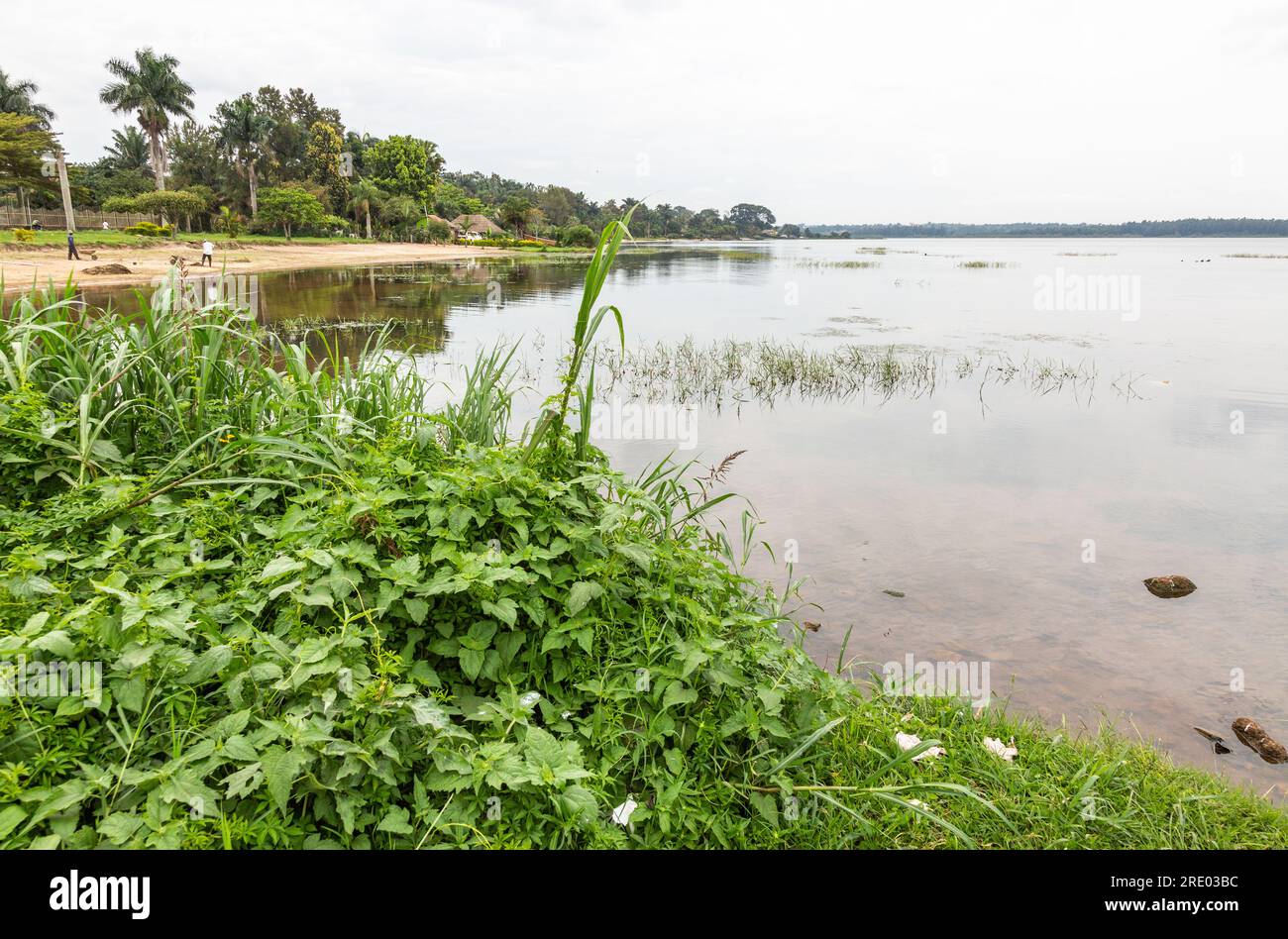 Sienna Beach, bordering Lake Victoria in Entebbe, Uganda Stock Photo ...