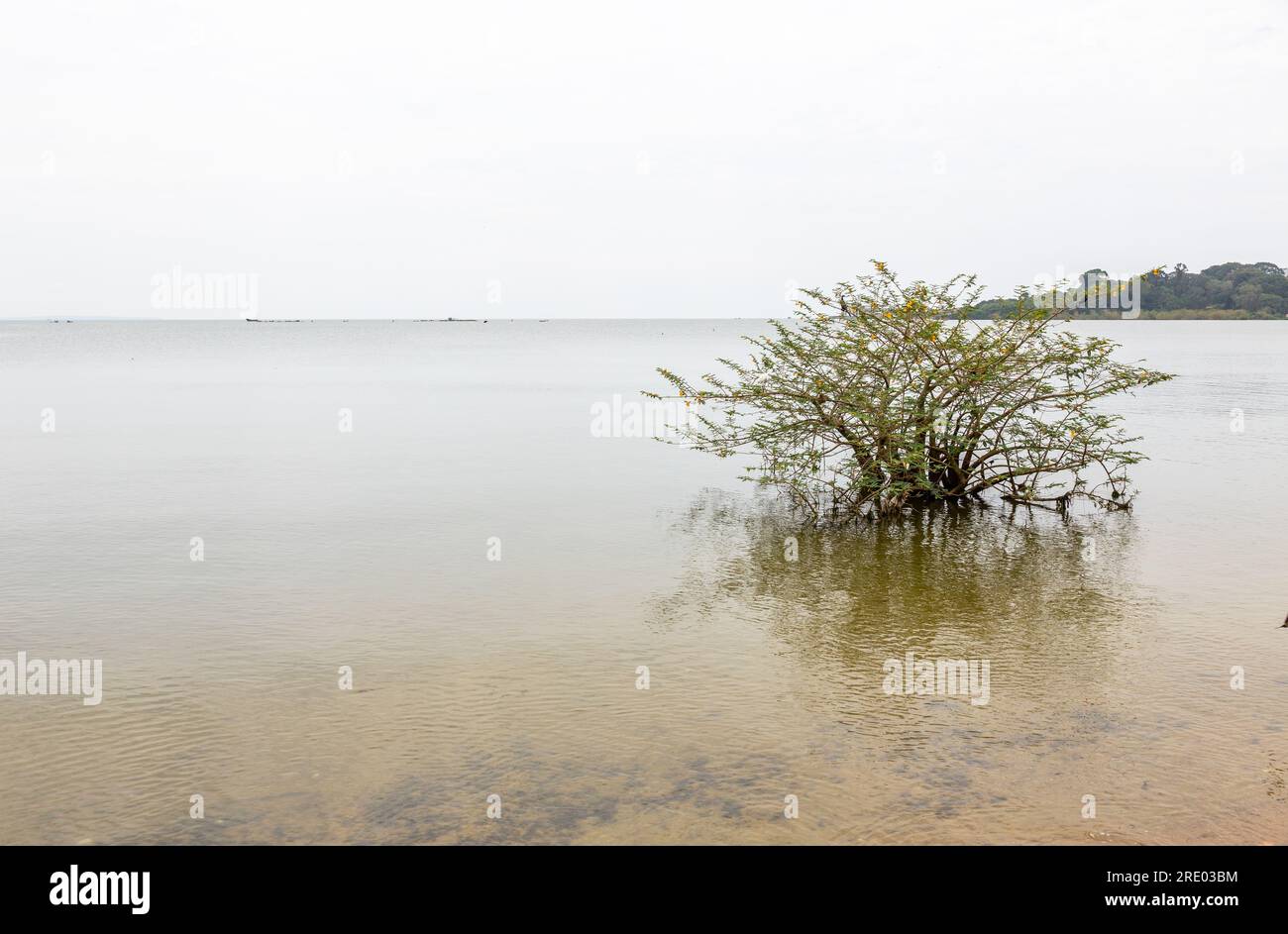Sienna Beach, bordering Lake Victoria in Entebbe, Uganda Stock Photo ...